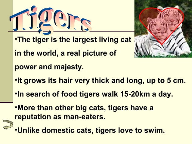 Animals | PPT | Cats | Pets