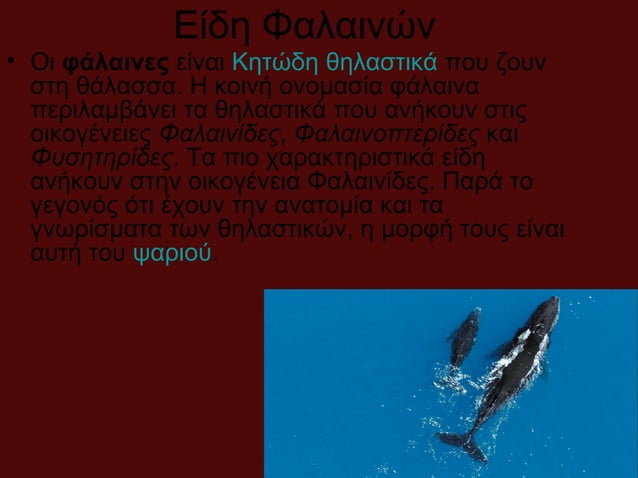 φάλαινα | PPT