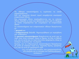 φυσικα οικοσυστηματα υγροτοποι | PPT