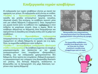 διαχειριση αποβλητων απορριματων | PPT