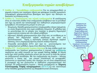 διαχειριση αποβλητων απορριματων | PPT