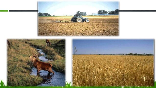 Природні ресурси Землі/Природные ресурсы Земли | PPTX