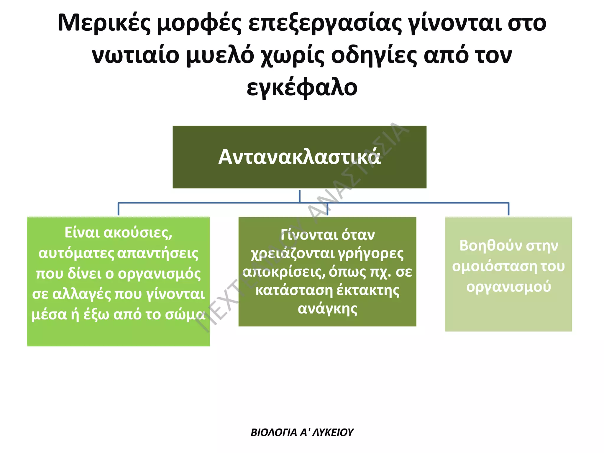 Κεφ.9: ΝΕΥΡΙΚΟ ΣΥΣΤΗΜΑ | PDF