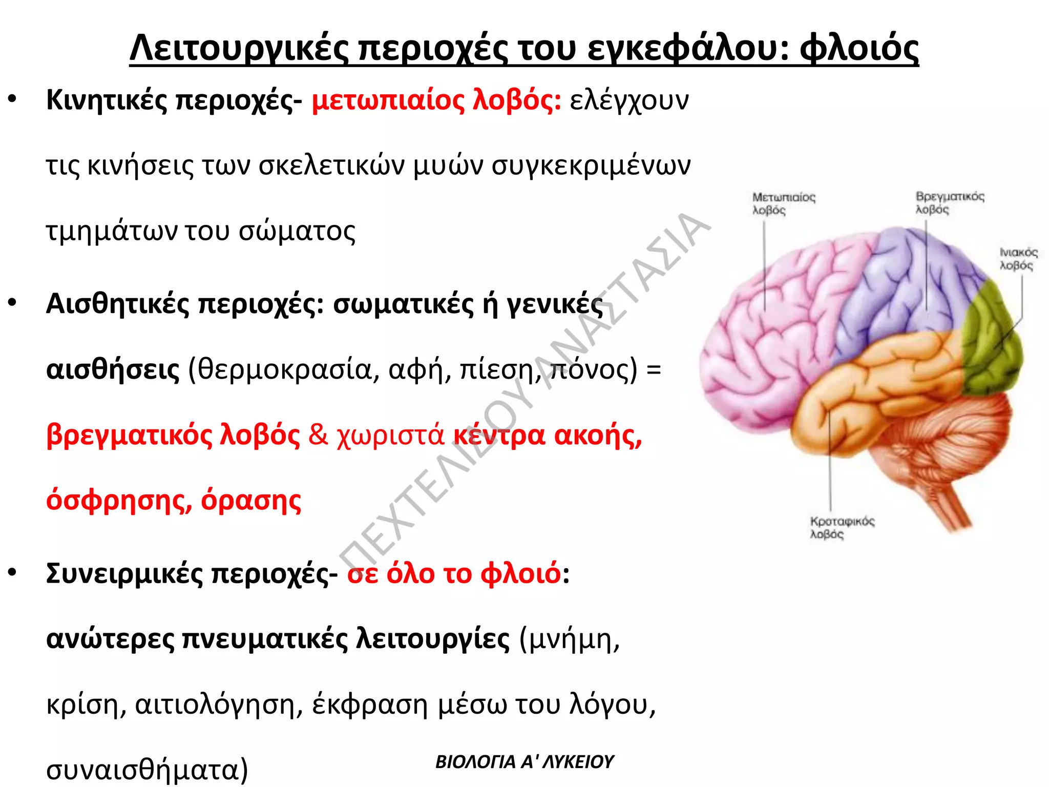 Κεφ.9: ΝΕΥΡΙΚΟ ΣΥΣΤΗΜΑ | PDF