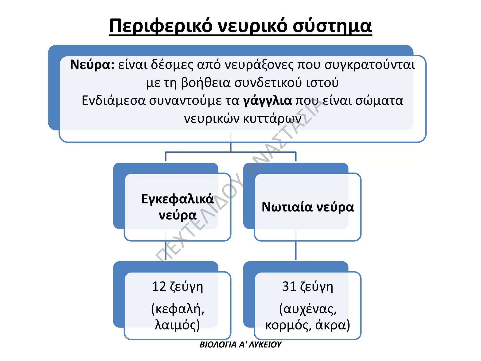 Κεφ.9: ΝΕΥΡΙΚΟ ΣΥΣΤΗΜΑ | PDF