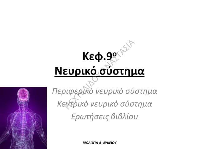 Κεφ.9: ΝΕΥΡΙΚΟ ΣΥΣΤΗΜΑ | PDF
