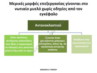 Κεφ.9: ΝΕΥΡΙΚΟ ΣΥΣΤΗΜΑ | PDF