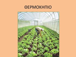 τομεις παραγωγης | PPTX