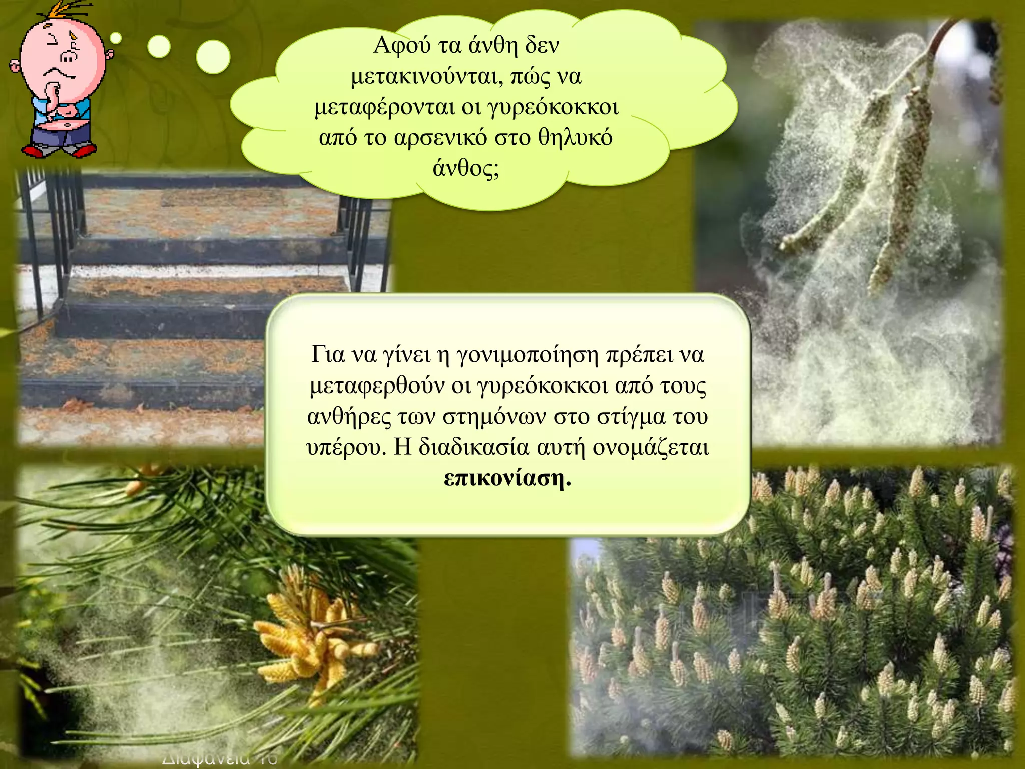 Αναπαραγωγή στα φυτά (παρουσίαση στα πλαίσια της επιμόρφωσης β επιπεδου ...