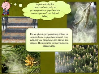 Αναπαραγωγή στα φυτά (παρουσίαση στα πλαίσια της επιμόρφωσης β επιπεδου ...