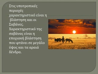 χλωρίδα | PPT