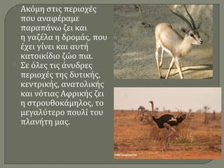 χλωρίδα | PPT