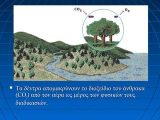 Tο φαινόμενο του θερμοκηπίου | PPT