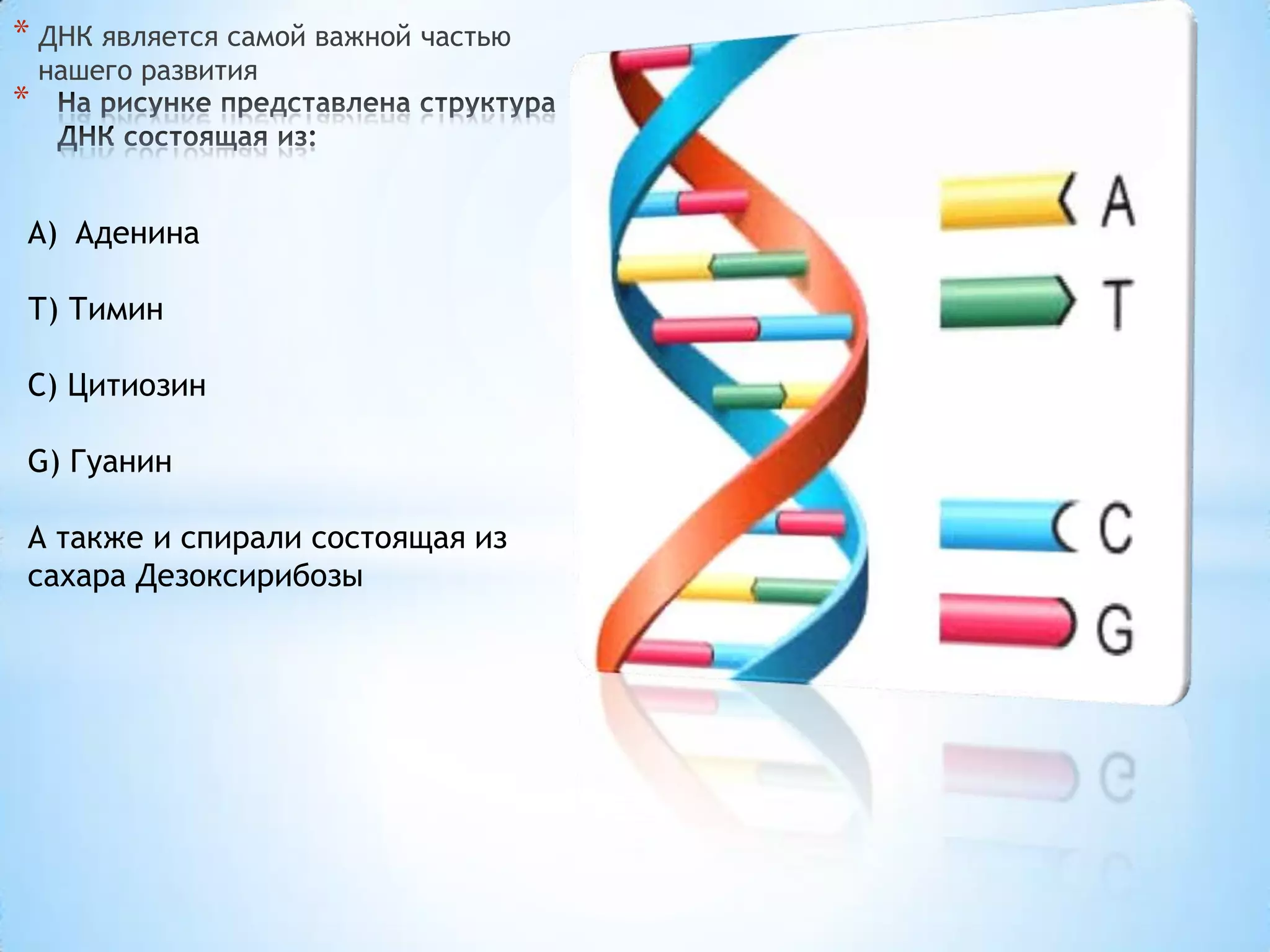 днк | PPT