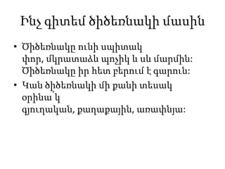 Ծիծեռնակ | PPT