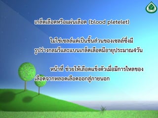 ระบบไหลเวียนโลหิต | PDF