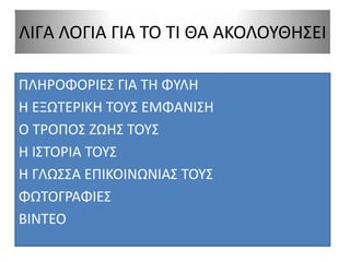 νομικού αϊνου | PPT