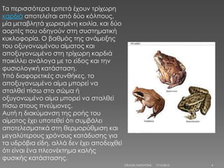 ΦΥΣΙΚΗ -ΤΑ ΖΩΑ -Ερπετα | PPTX