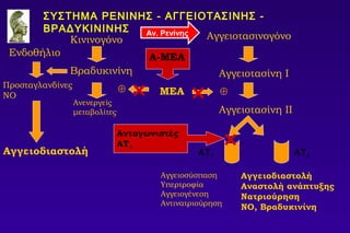 Η πρώιμη διάγνωση και αντιμετώπιση της διαβητικής νεφροπάθειας | PPT