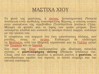 ΧΙΟΣ -ΑΝΑΤΟΛΙΚΟ ΑΙΓΑΙΟ-ΓΕΩΓΡΑΦΙΑ Ε΄ΤΑΞΗ | PPTX