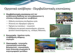 ΕΦΑΡΜΟΓΗ ΤΗΣ ΟΔΗΓΙΑΣ ΓΙΑ ΤΗΝ ΠΕΡΙΒΑΛΛΟΝΤΙΚΗ ΕΥΘΥΝΗ ΣΕ ΕΘΝΙΚΟ ΕΠΙΠΕΔΟ | PPT