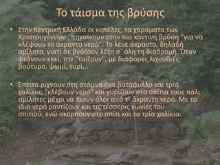 εθιμα και ηθη χριστουγεννων πρωτοχρονιάς | PPTX