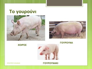 Zουν στο αγρόκτημα | PPT