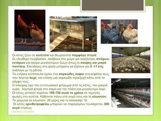 Zουν στο αγρόκτημα | PPT