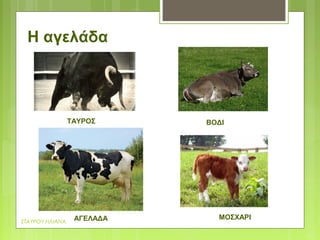 Zουν στο αγρόκτημα | PPT