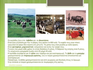 Zουν στο αγρόκτημα | PPT