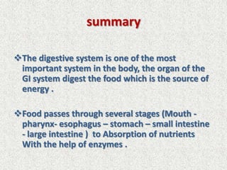 digestion | PPT
