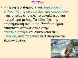 Τα αγαπημένα μου ζώα - Κατερίνα | PPT