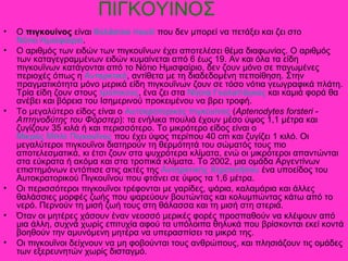 Τα αγαπημένα μου ζώα - Κατερίνα | PPT