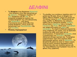 Τα αγαπημένα μου ζώα - Κατερίνα | PPT