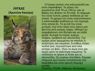 H χλωριδα και η πανιδα του νεστου | PPTX