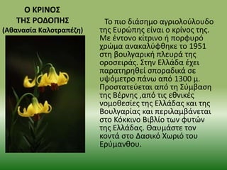H χλωριδα και η πανιδα του νεστου | PPTX