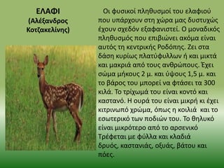 H χλωριδα και η πανιδα του νεστου | PPTX
