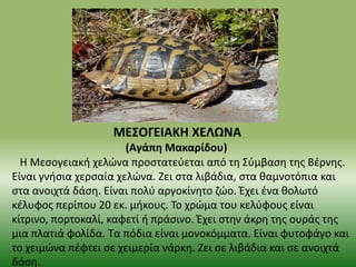 H χλωριδα και η πανιδα του νεστου | PPTX