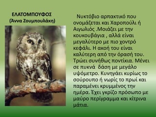 H χλωριδα και η πανιδα του νεστου | PPTX