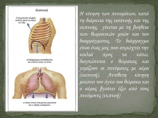 αναπνευστικό σύστημα | PPTX