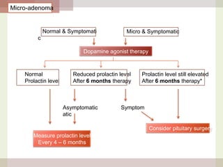 Hyperprolactinemia work up | PPTX