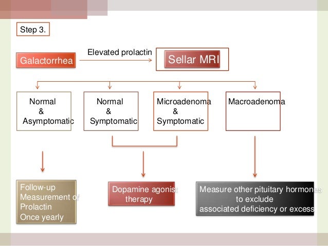 Hyperprolactinemia work up