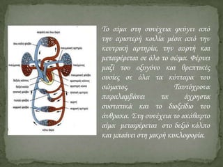 κυκλοφορικό σύστημα | PPT