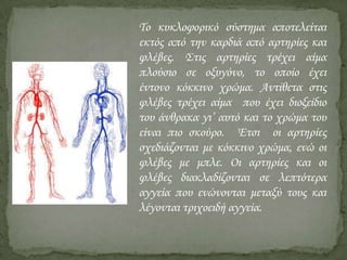 κυκλοφορικό σύστημα | PPTX