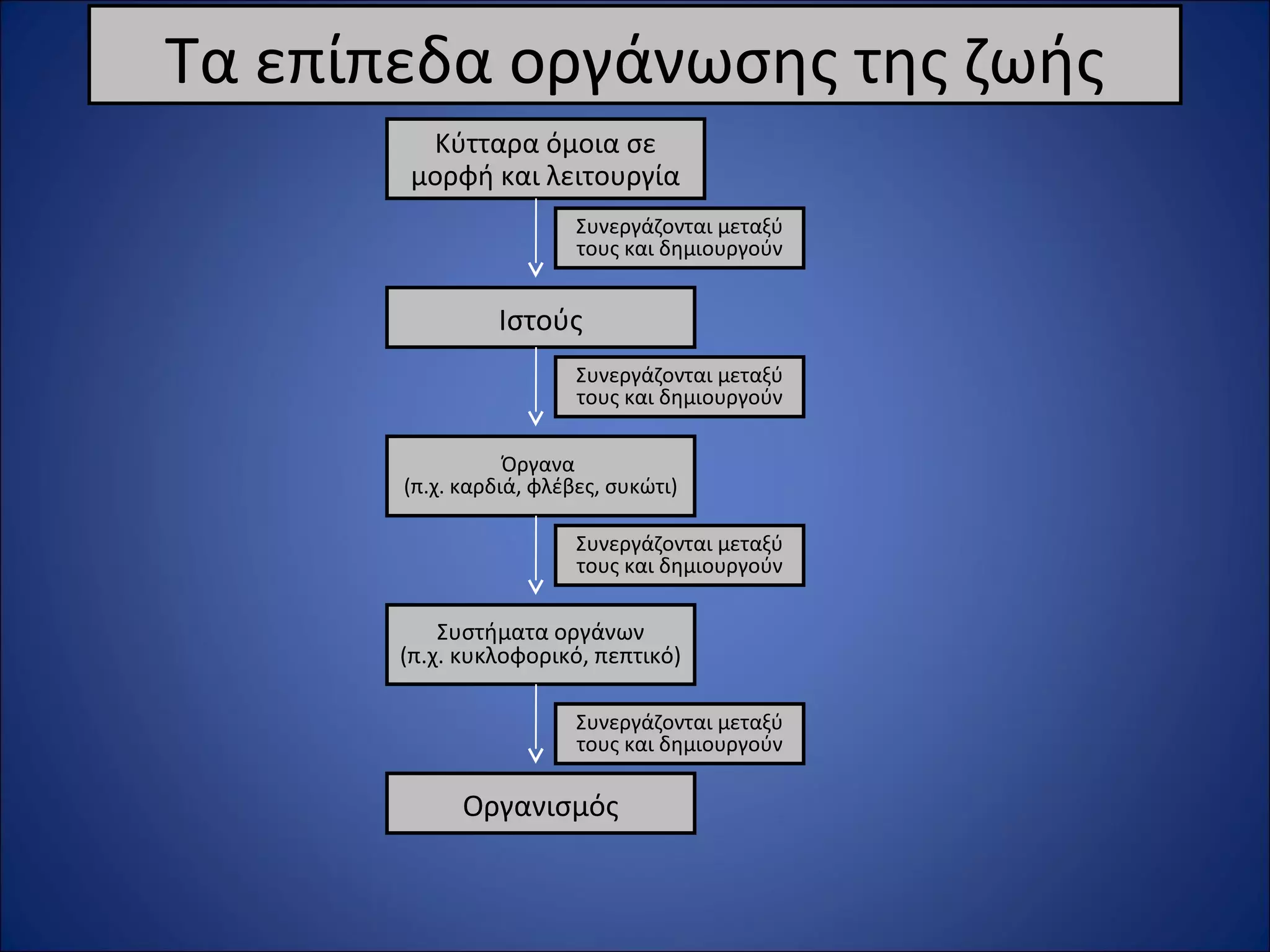 Τα επίπεδα οργάνωσης της ζωής | PPT