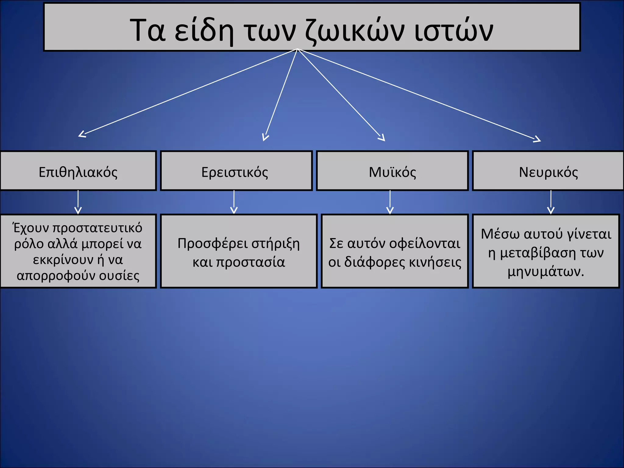 Τα είδη των ζωικών ιστών | PPT