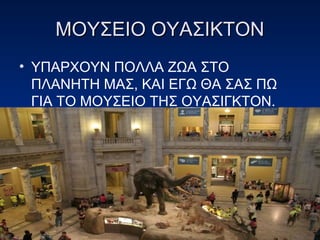πισω στην προιστορια | PPT