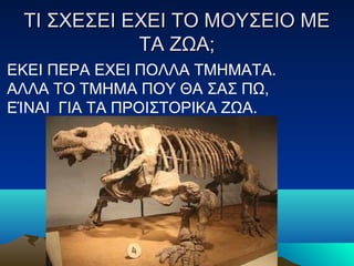 πισω στην προιστορια | PPT