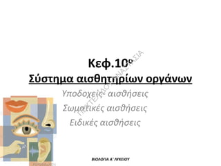 ΒΙΟΛΟΓΙΑ Α' ΛΥΚΕΙΟΥ- Κεφ.10: Αισθητήρια όργανα | PDF