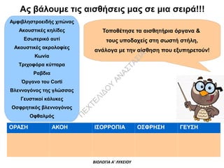 ΒΙΟΛΟΓΙΑ Α' ΛΥΚΕΙΟΥ- Κεφ.10: Αισθητήρια όργανα | PDF